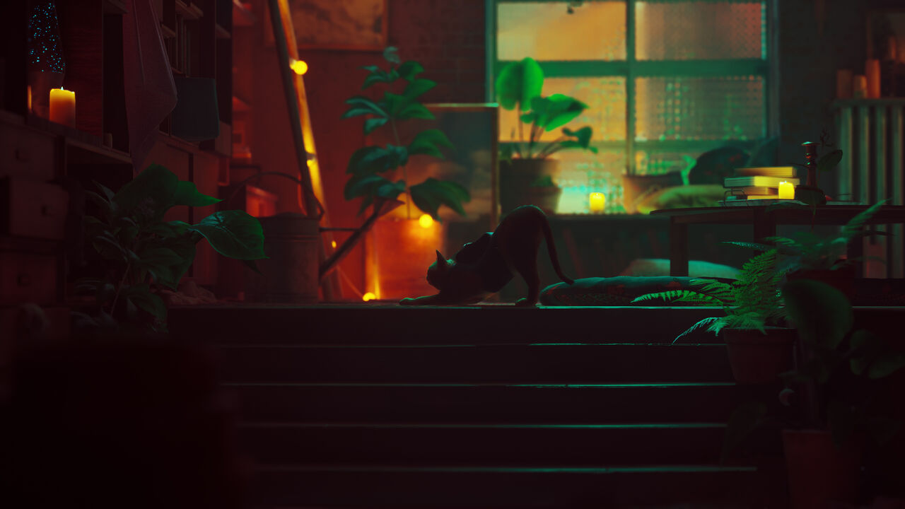 Stray: Cyberpunk-Adventure auf vier Pfoten erscheint im Juli - ComputerBase
