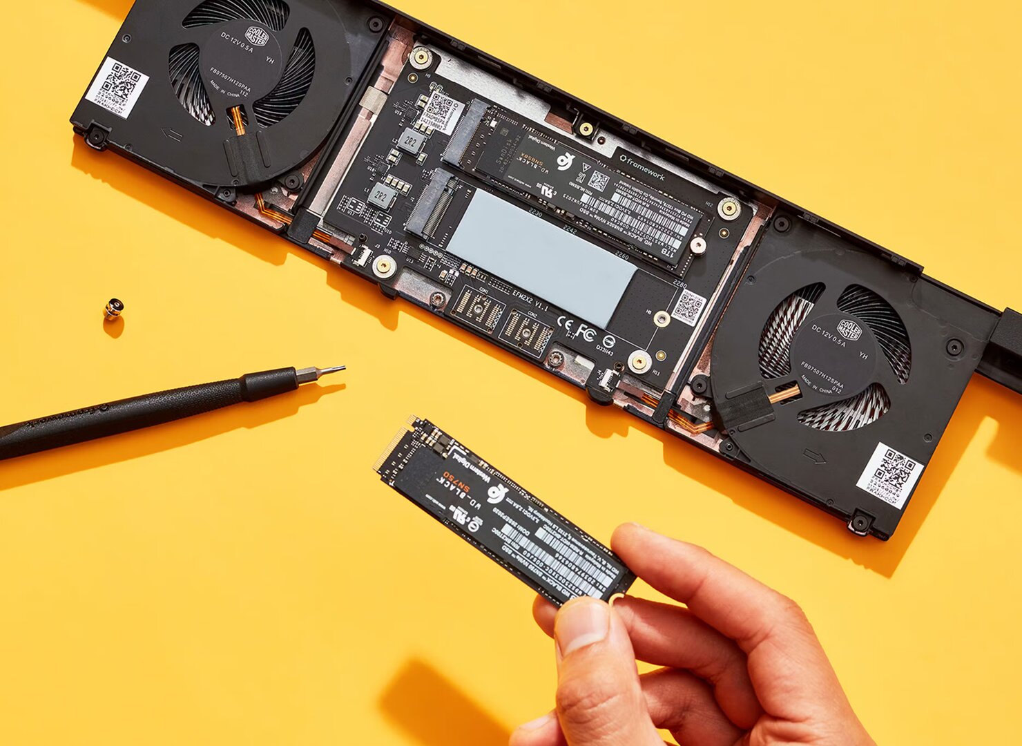 Neues Expansion Bay Module: Dual-M.2-SSD-Adapter für den Framework ...