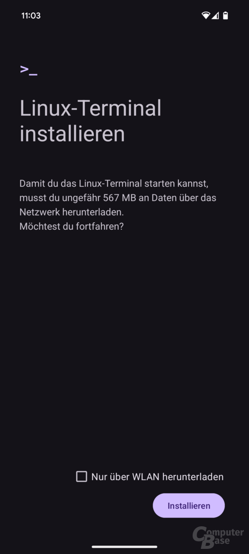 Google Pixel: März-Feature-Drop enthält Linux-Terminal-App - ComputerBase
